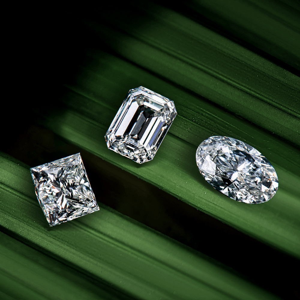 Blue Promise for a Greener Tomorrow: Celebrating Earth Day with Sustai ...