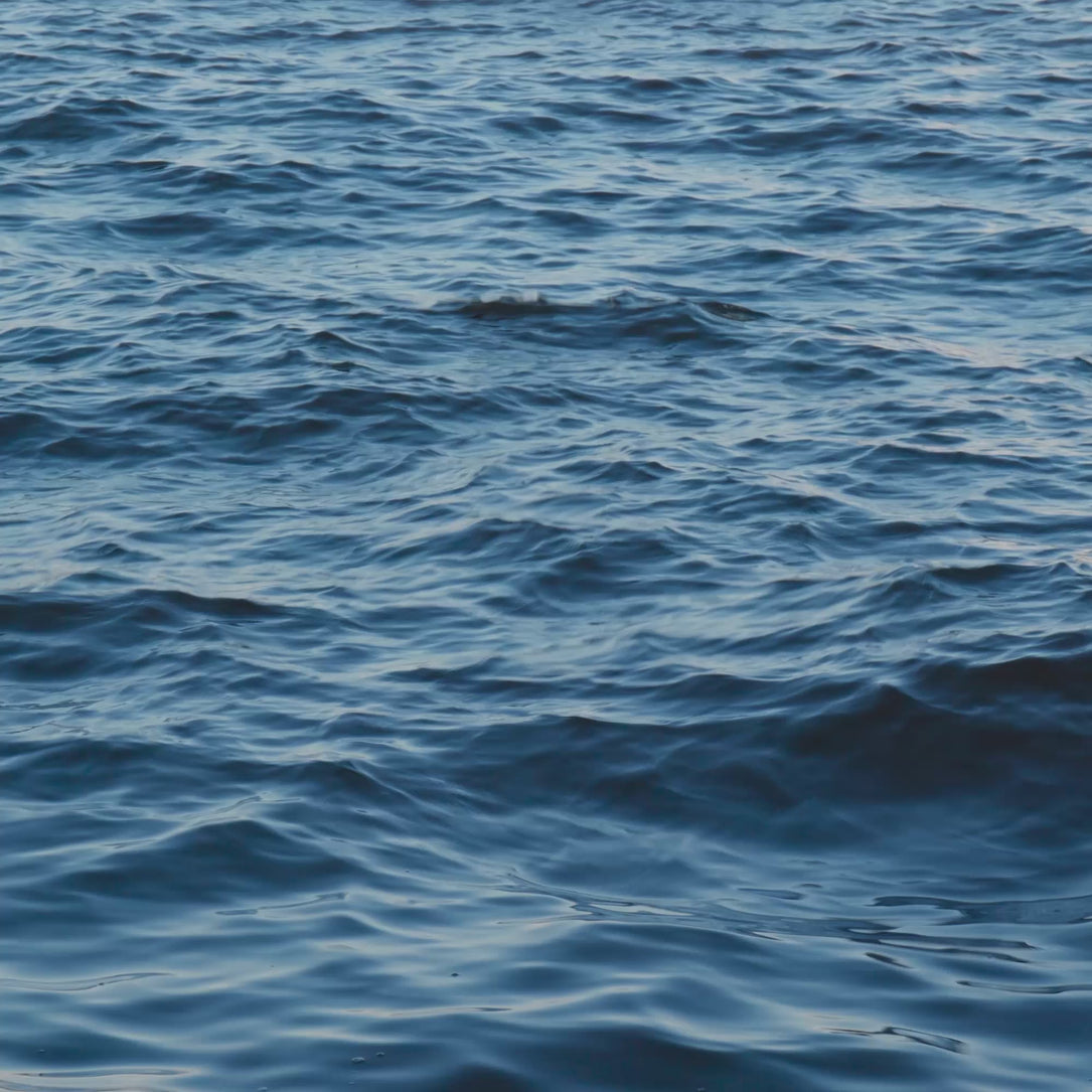 MSBLUE® Premium Fine Jewelry - Engagement & Wedding Rings – MSBLUE Jewelry